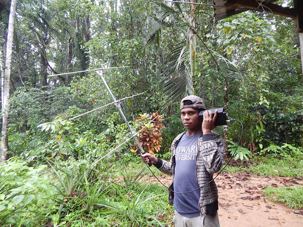 Red-ruffed lemur conservation programme | Palmyre Conservation