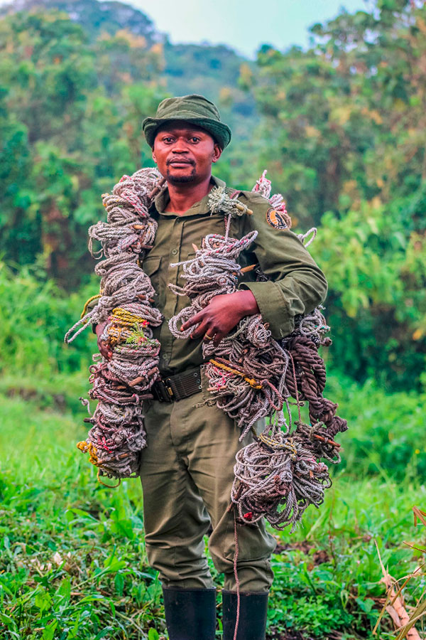 Virunga National Park | Palmyre Conservation