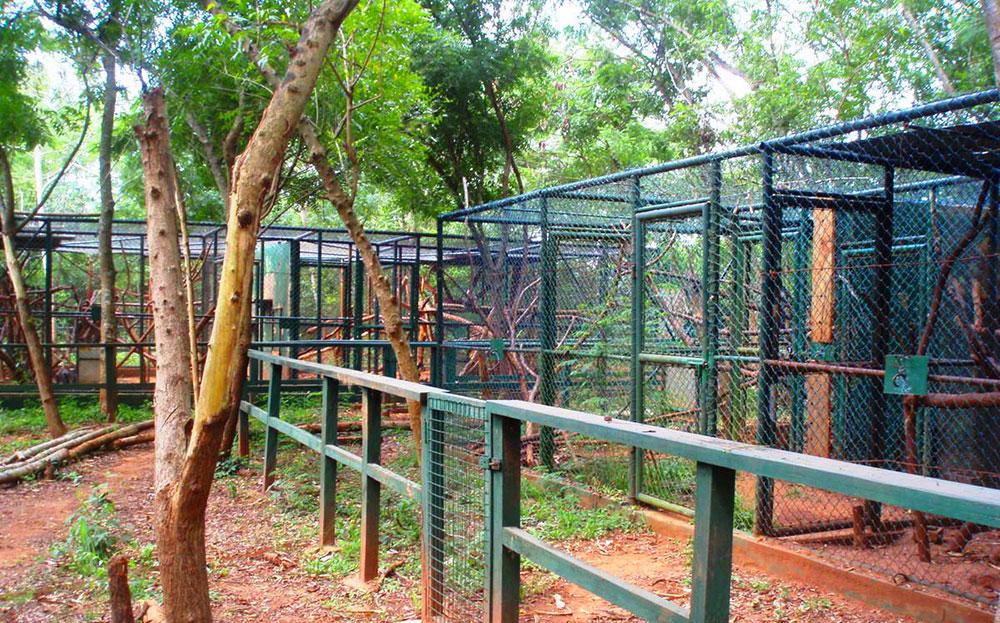 WAPCA | Palmyre Conservation